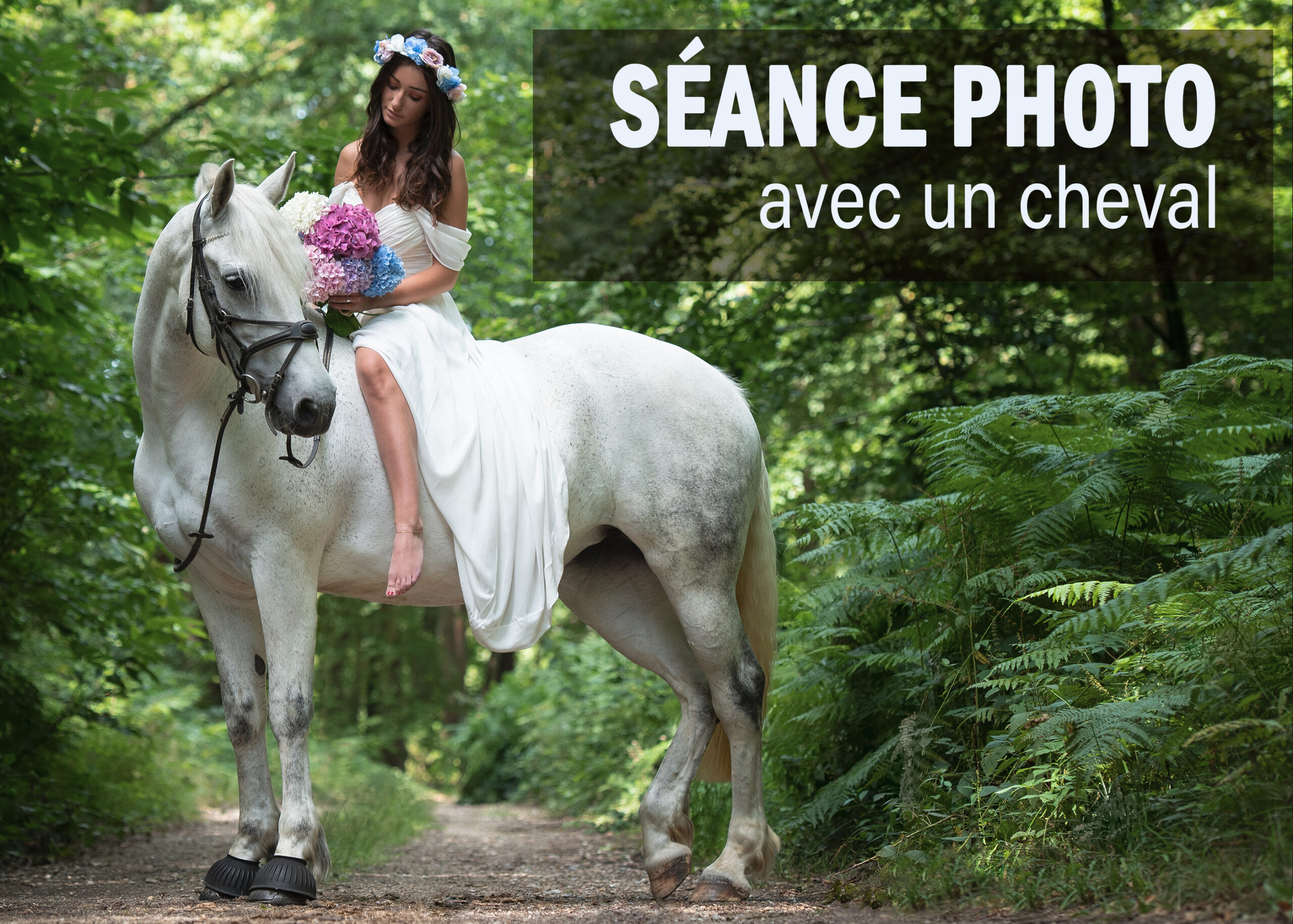 séance-photo-cheval | APPRENDRE LA PHOTO DE PORTRAIT